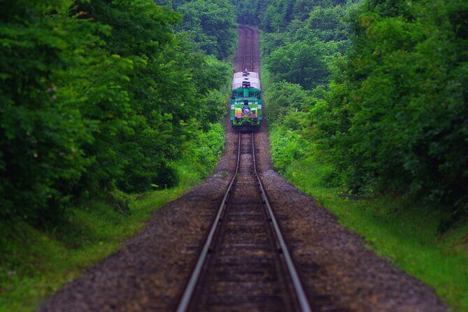 Furano Biei Tour Sapporo DEP: English Speaking Driver, No Guide - Final Thoughts