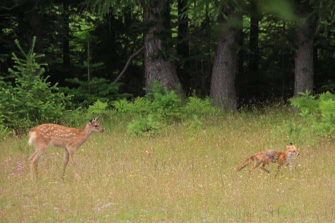 Furepe Waterfall Nature Walk - What Makes the Furepe Waterfall Nature Walk Worth Considering