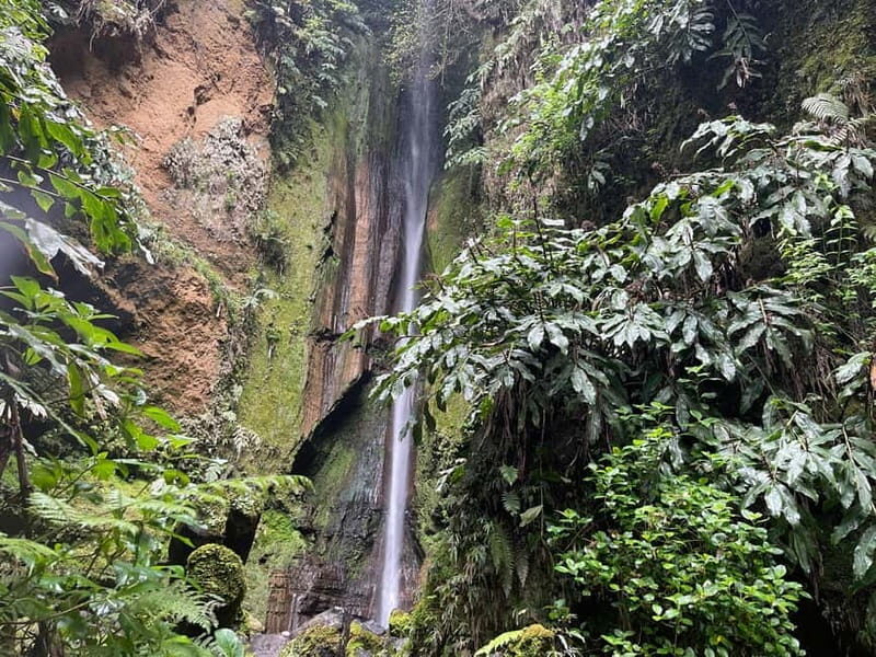 Furnas: Private Tour with Hike & Terra Nostra Hot Springs - Practical Details: How It Works