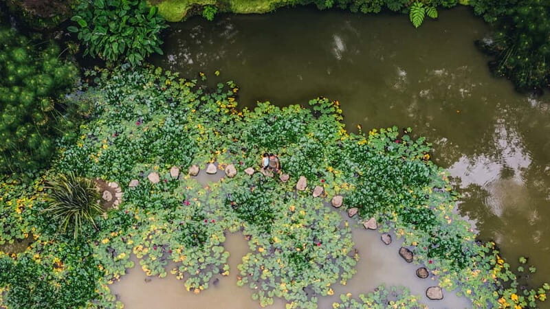 Furnas & Terra Nostra Botanic Park Tour w/Lunch + Hotsprings - Key Points