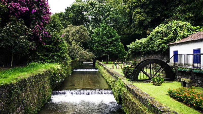 Furnas & Terra Nostra Botanic Park Tour w/Lunch + Hotsprings - A Closer Look at the Tour Experience