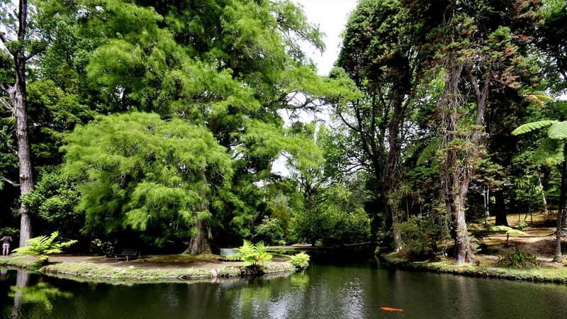 Furnas & Terra Nostra Botanic Park Tour w/Lunch + Hotsprings - Who Will Love This Tour?