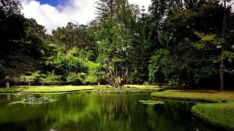 Furnas & Terra Nostra Gardens Biologist-guided Tour +lunch - The Sum Up