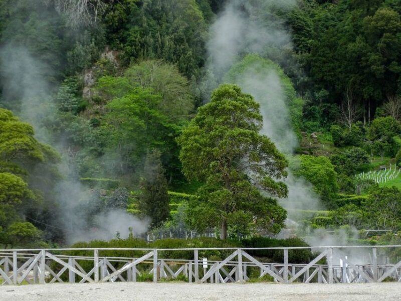 Furnas: Thermal Springs & Tea Plantation Day Tour with Lunch - Deep-Dive into the Itinerary