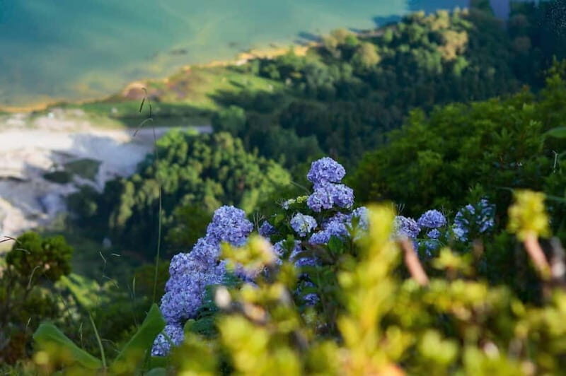 Furnas Volcano: Full Day Tour, Hot Springs & Waterfalls - The Real Value of the Experience