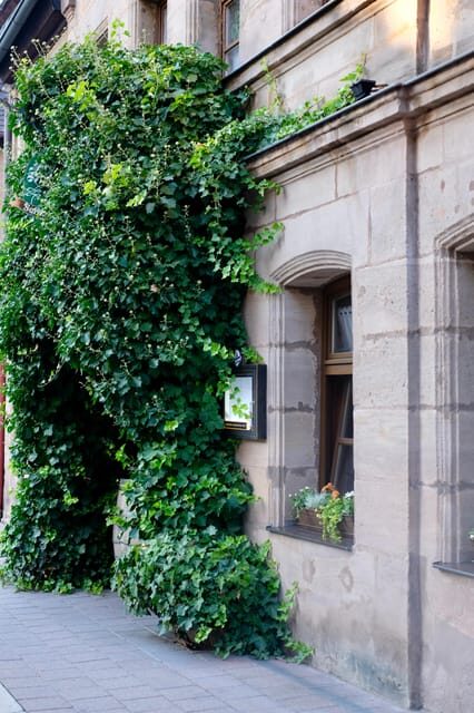Fürth: Culinary and Historical Walking Tour - Final Thoughts