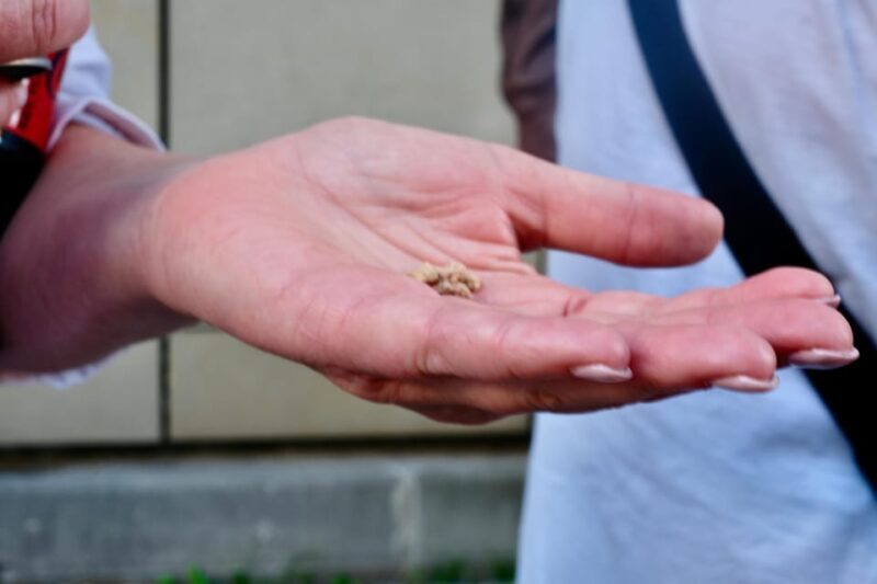Fürth: Culinary and Historical Walking Tour - FAQ