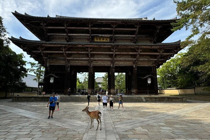 Fushimi Inari and Nara Private and Guided Tour in Spanish - Frequently Asked Questions