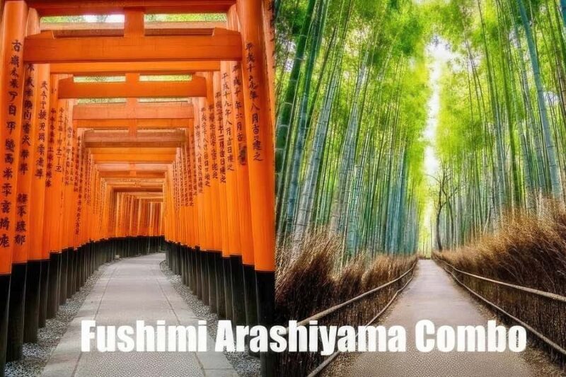 Fushimi Inari - Arashiyama: Torii Gates, Bamboo, Monkey Park - A Thorough Look at the Tour Experience