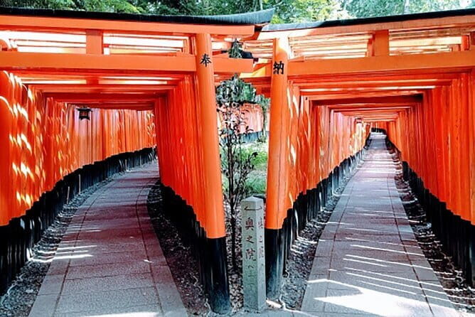 Fushimi Inari Deep Shinto Shrine Tour while Hiking with Expert - Comparing This Tour with Other Experiences