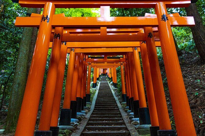 Fushimi Inari Mountain Hiking Tour with a Local Guide - Final Thoughts