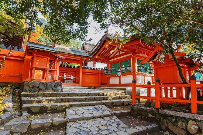 Fushimi Inari & Nara Highlights Walking Tour - Discovering Japan’s Cultural Gems: A Review of the Fushimi Inari & Nara Highlights Walking Tour