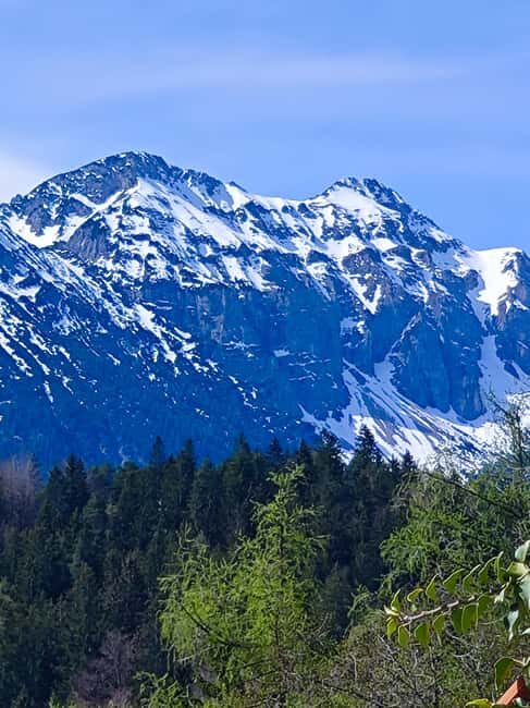 Füssen to Neuschwanstein Castle - Guided Scenic Tour - What Travelers Say