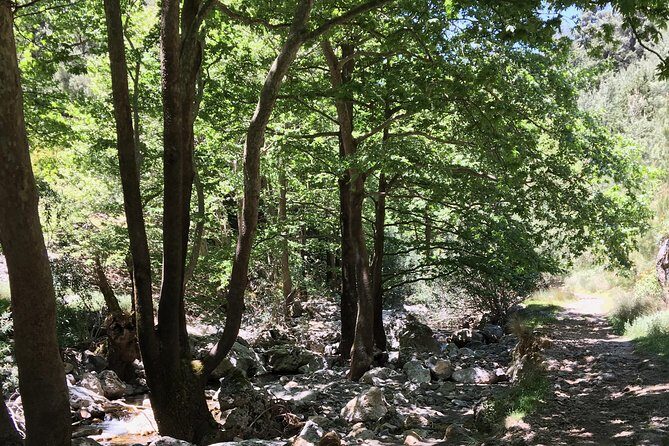 Fygou and Agia Irini Gorge Loop Half Day Hiking Tour - An Overview of the Fygou and Agia Irini Gorge Loop
