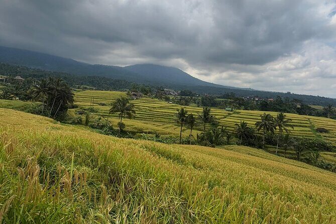 GAD Tanah Lot Tour - In-Depth Look at the GAD Tanah Lot Tour