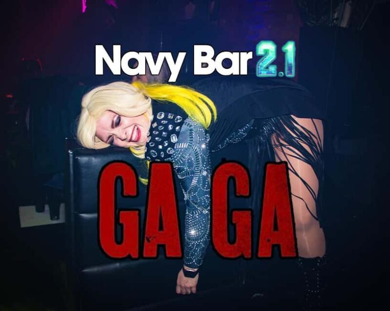 GAGAMania: A Lady Gaga party with Live Tribute Act - Key Points