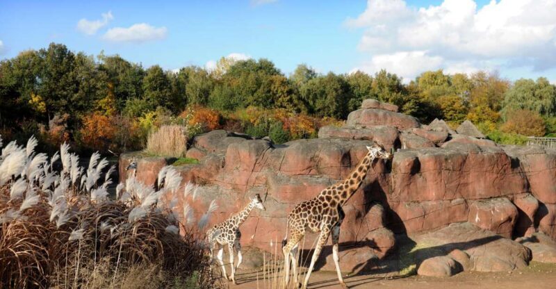 GaiaZOO Entry Ticket - South American and Additional Zones