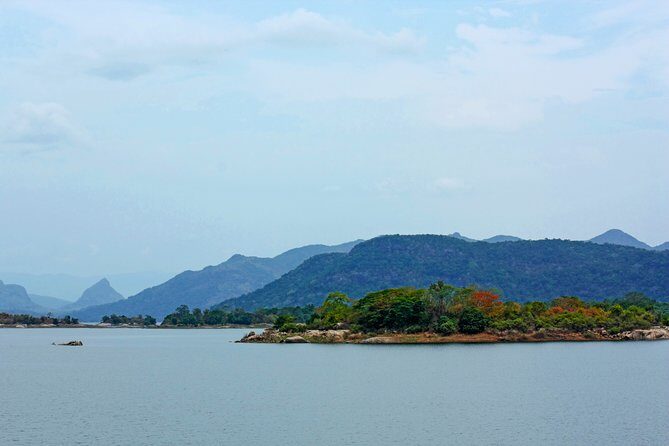 Gal Oya National Park Safari - An In-Depth Look at the Gal Oya Safari