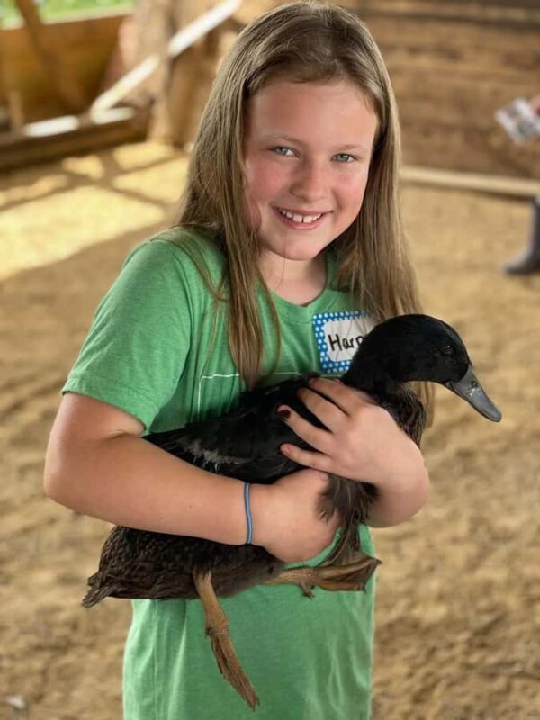 Galena Area: Berning Acres Family Dairy Farm Tour - The Experience in Detail