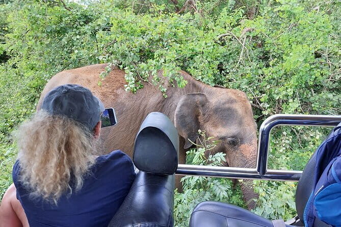 Galle ALL INCLUDED Tour from Hambantota Port (Shore excursions) - FAQ: Your Questions Answered