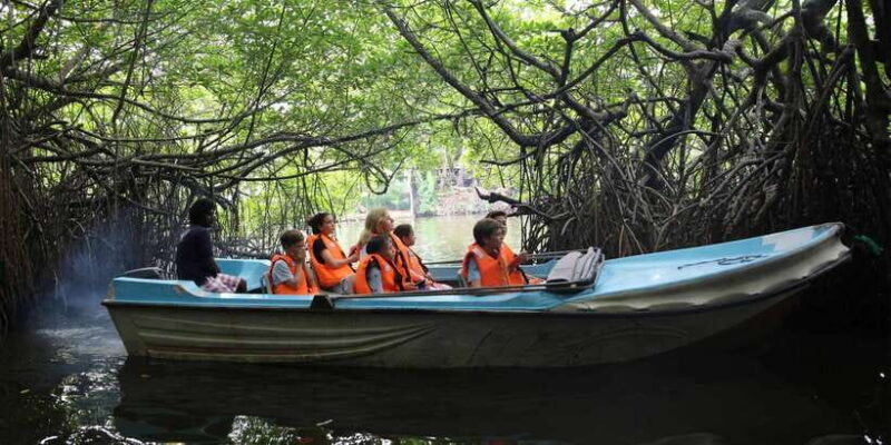 Galle and Bentota Day Tour from Colombo - Key Points
