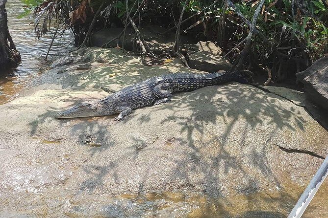 Galle & Bentota River Safari Private Tour from Beruwala Hotels - FAQ