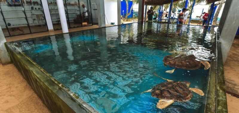 Galle Coastal Heritage & Culture Tour from Colombo - An Overview of the Galle Coastal Heritage & Culture Experience