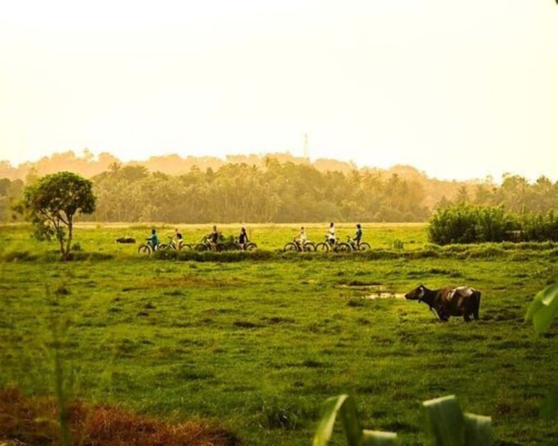 Galle: Countryside Cycling Tour with Hotel Transfer - Exploring the Galle Countryside by Bicycle: A Balance of Nature, Culture, and Relaxation