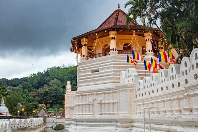 Galle Day Tour From waskaduwa - Who Should Consider This Tour?