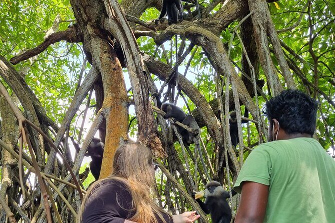 Galle Day Tour via Hikkaduwa Beach - What Reviewers Say