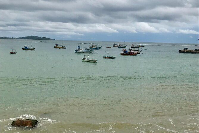 Galle Day Tour via Hikkaduwa Beach - Who Will Love This Tour?