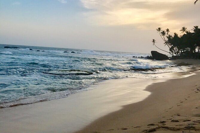 Galle Day Tour via Hikkaduwa Beach - The Sum Up