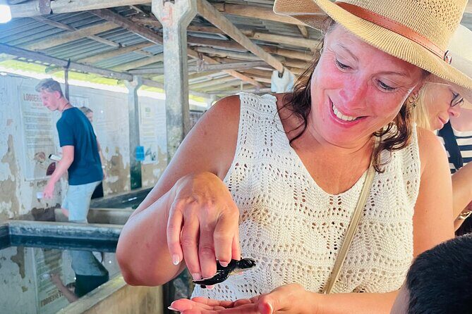 Galle Day Tour with Turtle Hatchery & River Boat Safari - Introduction