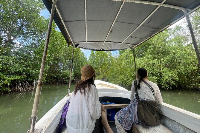 Galle Day Tour with Turtle Hatchery & River Boat Safari - The Value of the Tour