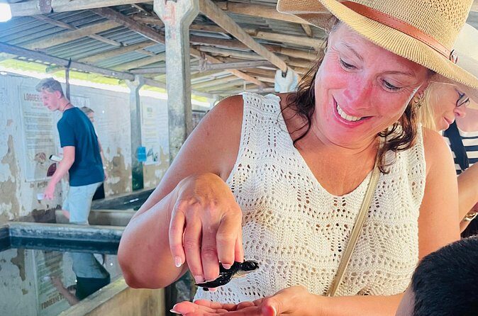 Galle Day Tour with Turtle Hatchery & River Boat Safari - Who Should Consider This Tour?