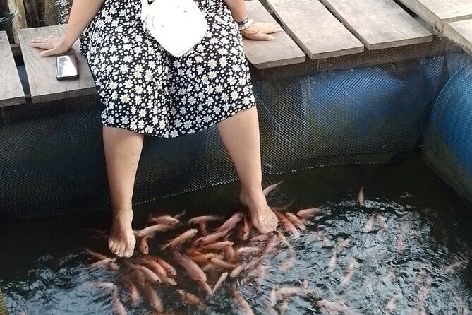 Galle Day Trip from Kalutara - Temples, River Safari & Dutch Fort - FAQ