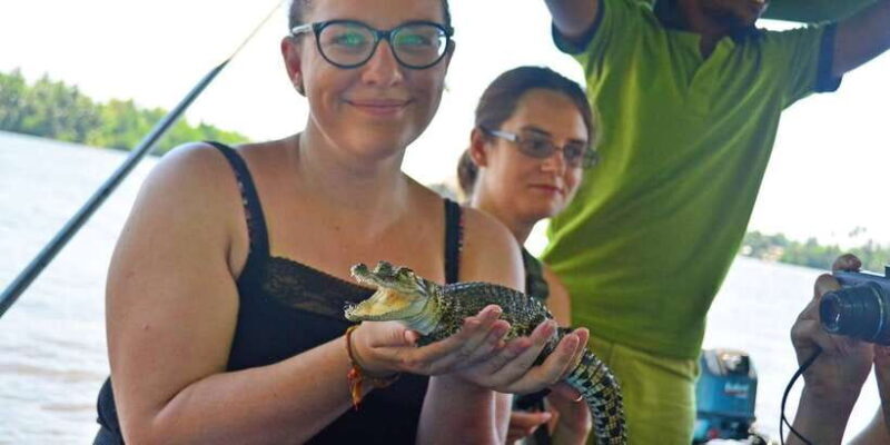 Galle Day Trip - River Safari, Sea Turtle & Stilt Fishermen - An Authentic Day in Galle: A Review of the River Safari, Sea Turtles & Stilt Fishermen Tour