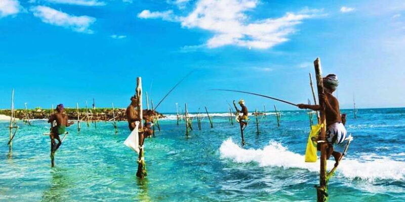 Galle Day Trip - River Safari, Sea Turtle & Stilt Fishermen - Value and Practicalities: What’s Included and What to Expect