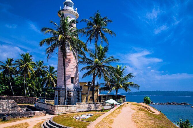 Galle Day Trip with River Safari, Sea Turtle & Stilt Fishermen - A Closer Look at the Tour Itinerary