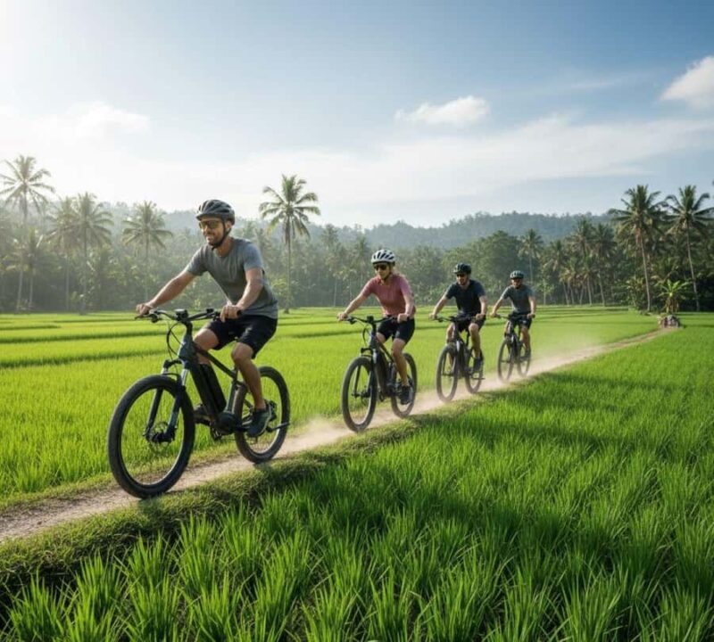 Galle: E-Bike Tour with Village Lunch and Local Guide - Exploring Galle’s Countryside on E-Bikes