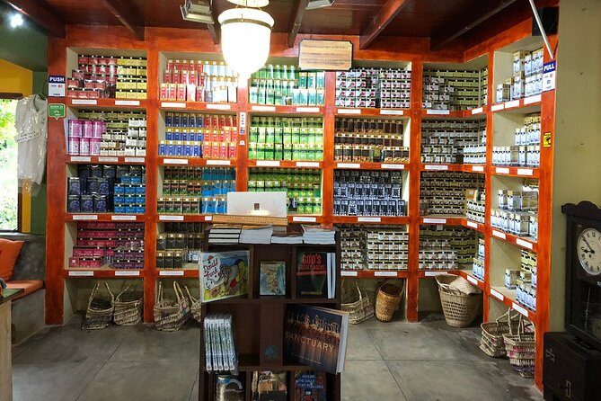 Galle Fort And Tea Factory Visit - Who Is This Tour Best For?