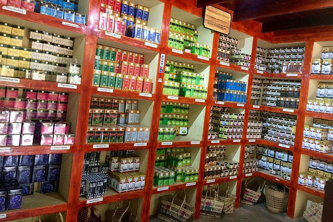 Galle Fort And Tea Factory Visit - FAQ