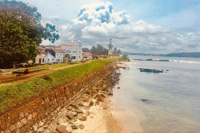 Galle Fort & boat safari & Turtles Day Trip - Key Points