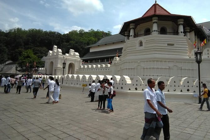 Galle fort day tour from colombo Explore Galle Madu River in a day trip - The Sum Up
