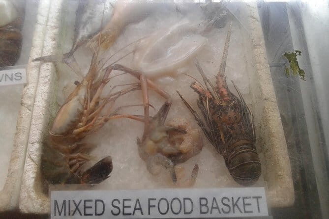 Galle fort day tour from colombo Explore Galle Madu River in a day trip - FAQ