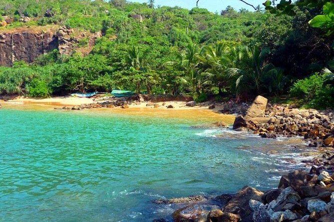 Galle Fort & Jungle Beach Day Trip from Colombo - An In-Depth Look at the Experience