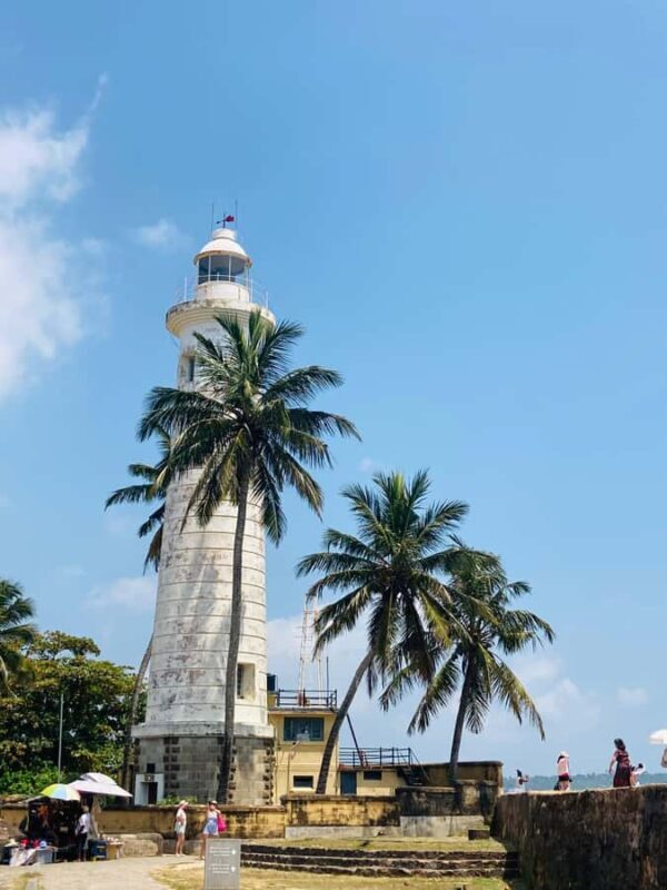 Galle Fort, Mask Museum, and Turtle Hatchery Day Trip - Exploring the Highlights of This Tour