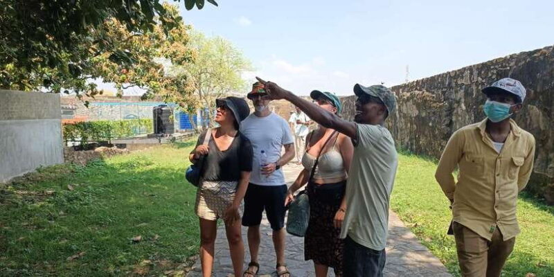 Galle Fort Walking tour - Who Should Book This Tour?