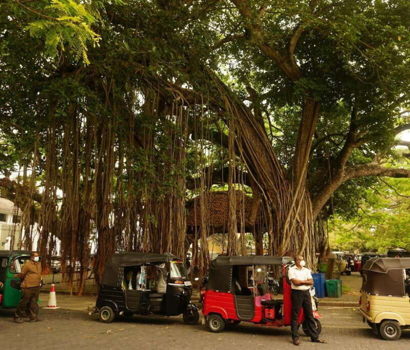 Galle: Fort Walking Tour with Local Guide + Lunch - Practical Details and What to Expect