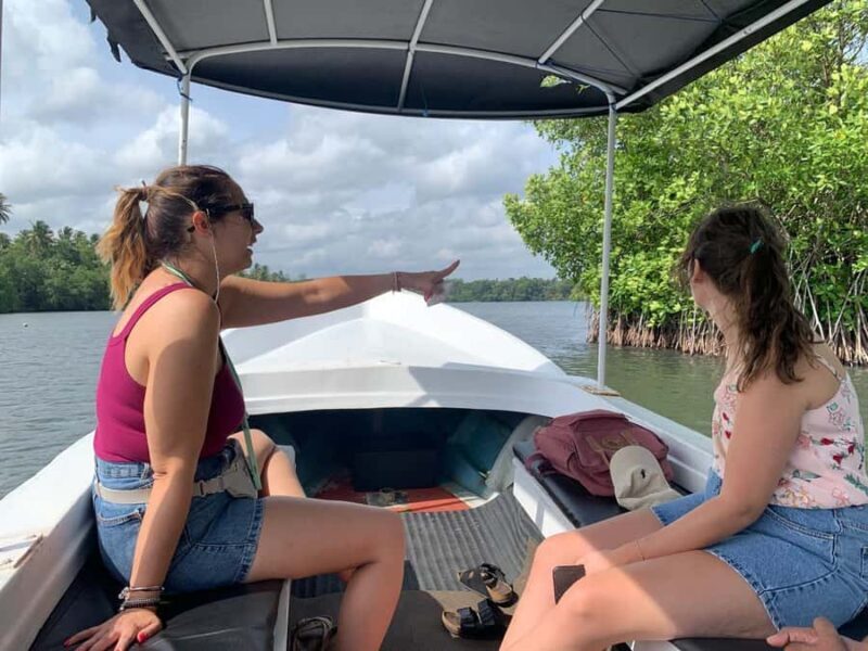 Galle: Koggala Lake Boat Safari with Monkeys Birds & Nature - Key Points